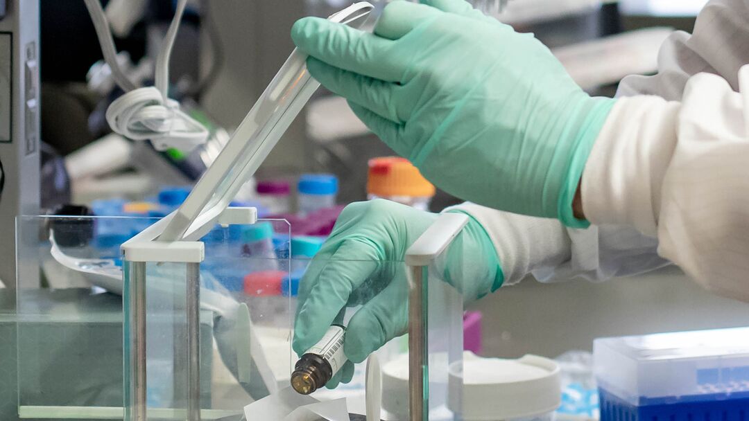 Eleven Cancer Research Projects Funded in Spring 2022 RAP Cycle | UCSF ...