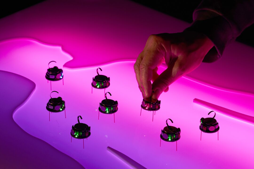 UCSF Treats First Patient with Homegrown Chimeric Antigen Receptor (CAR ...