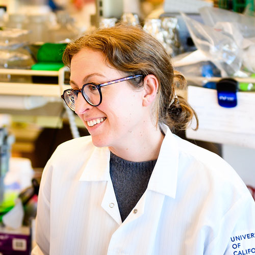 If Immunity Is Innate, What Impacts Our Ability to Fight Infections ...