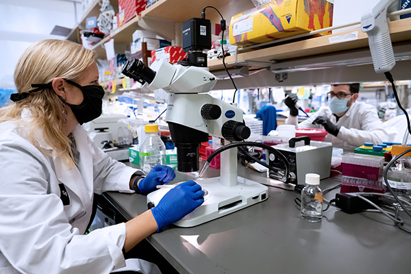 HDFCCC Funds Broad Portfolio of Research Grants Totaling $1 Million ...