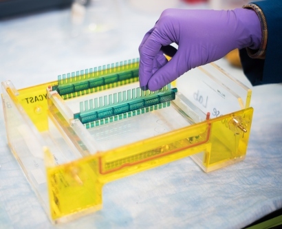 Six UCSF Scientists Awarded NIH Grants for High-Risk, High-Reward ...