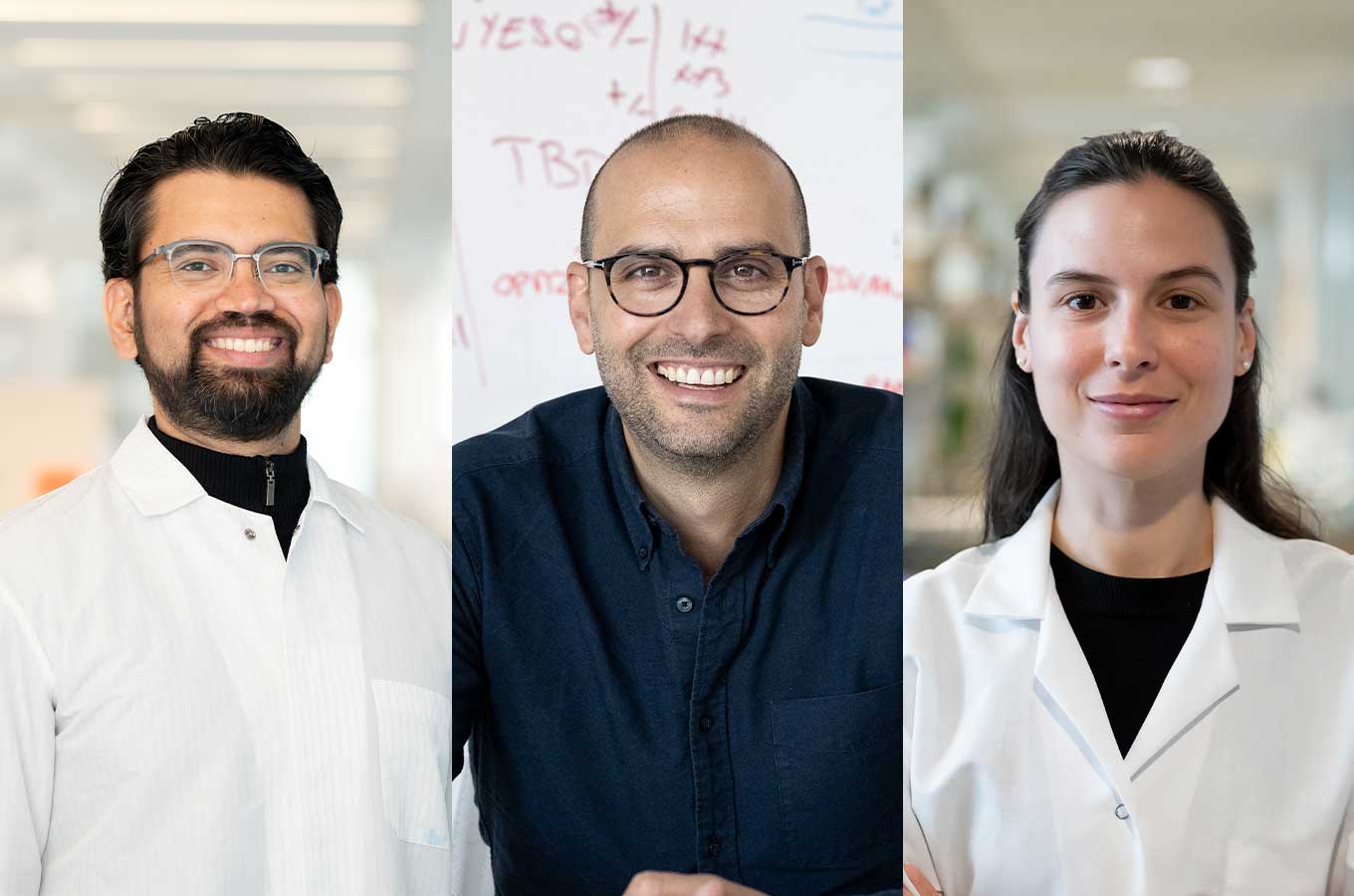 UCSF Scientists Win Pew Awards for Cancer and Neuroscience Research ...