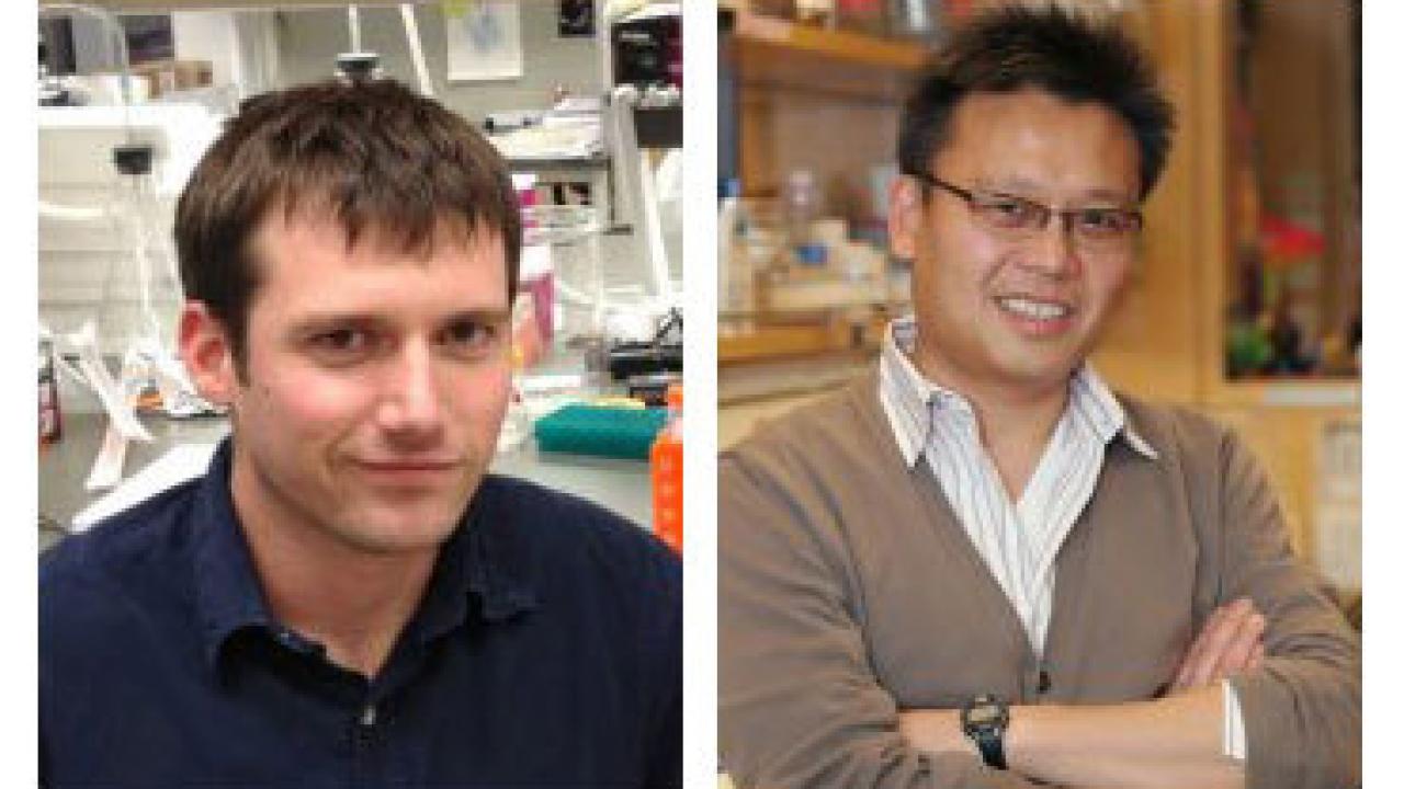 Six UCSF Researchers Win NIH High-Risk, High-Reward Grants | UCSF Helen ...